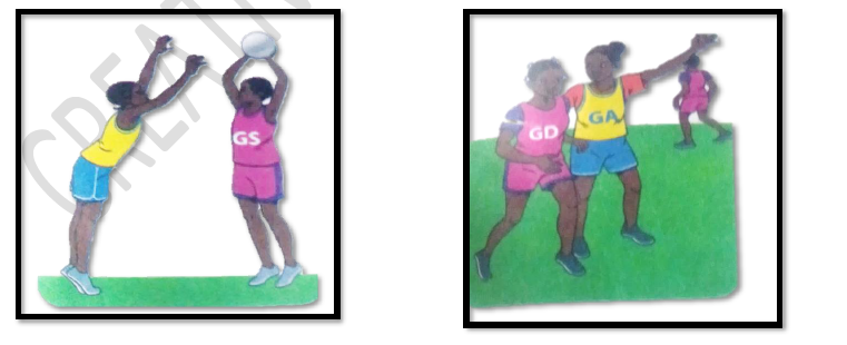 Types Of Marking In Netball - Infoupdate.org